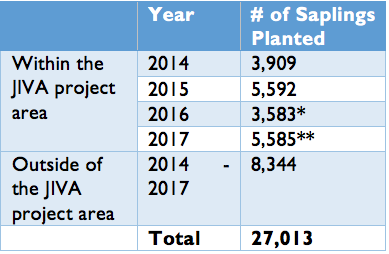 JIVA Case Study: The Pomegranate Story of Innovation and Resilience ...