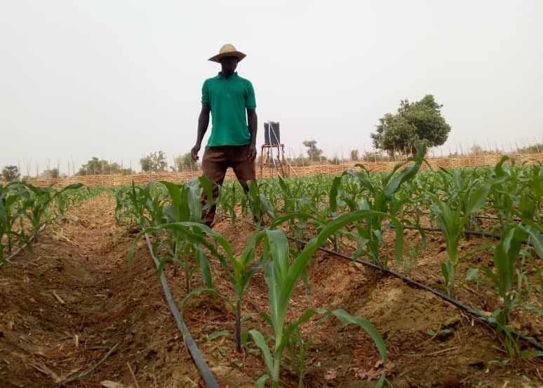 Rayuwa: A Team Response to COVID-19 in Nigeria - Pyxera Global