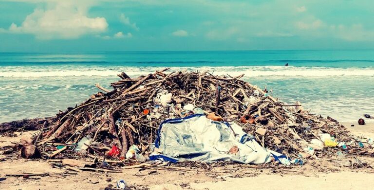 Junk ‘n Gyre : Circular Economic Solutions to End Plastic Pollution ...