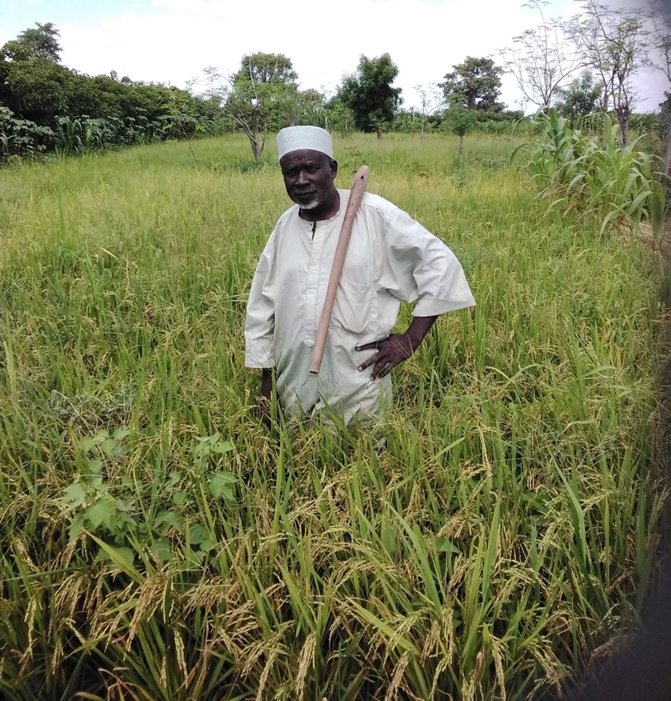 Rayuwa Project: Transforming Lives and Conquering Hunger in Rural ...